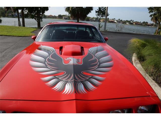 1979 Pontiac Firebird Trans Am for Sale | ClassicCars.com | CC-1778596