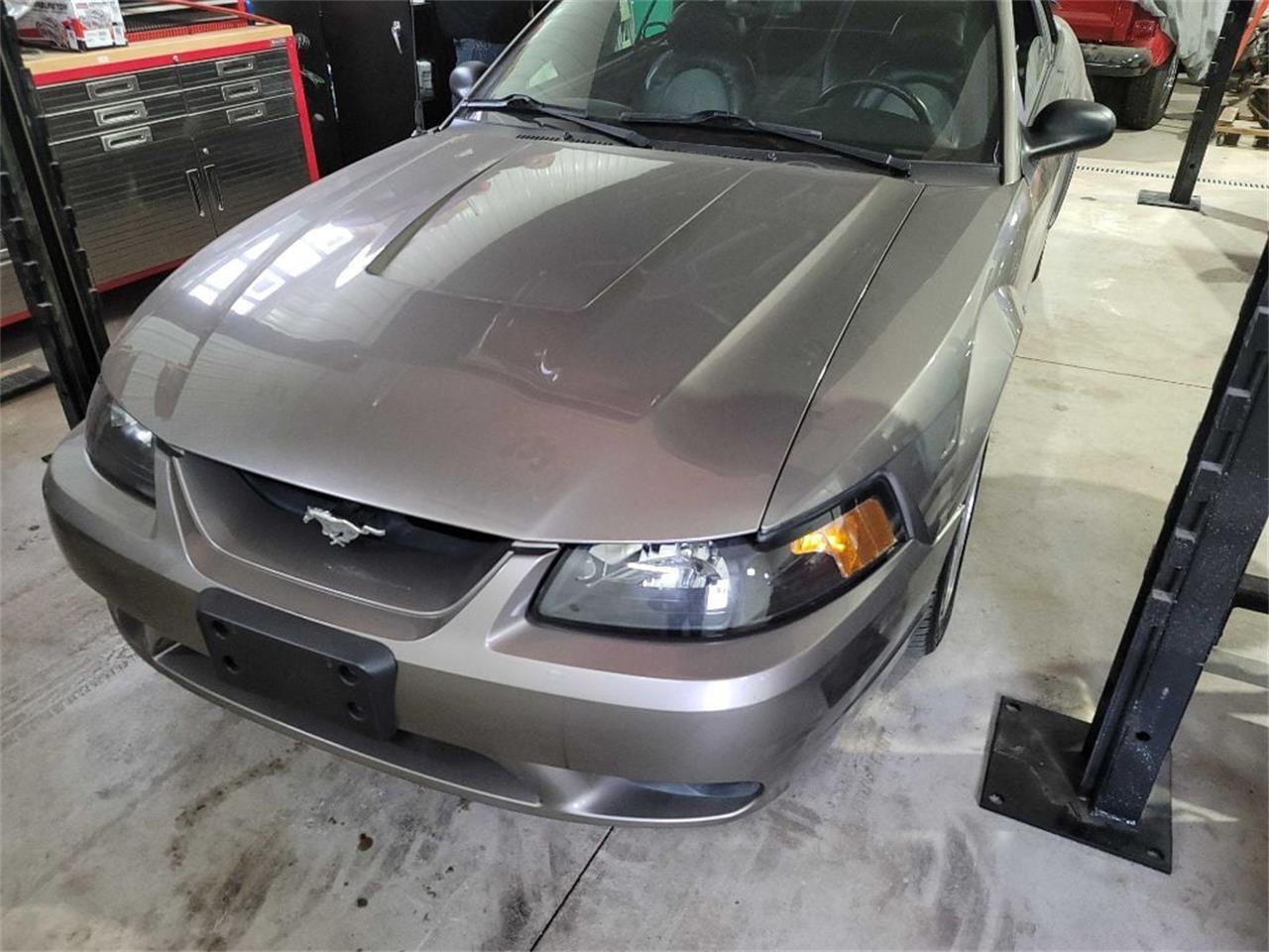 2001 Ford Mustang SVT Cobra for Sale | ClassicCars.com | CC-1784204