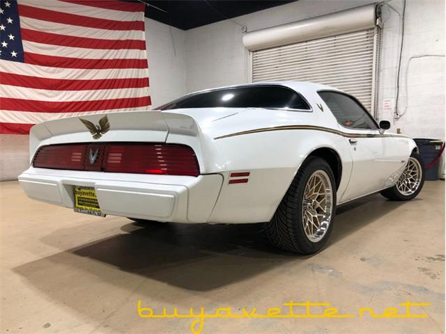 1981 Pontiac Firebird for Sale | ClassicCars.com | CC-1786505
