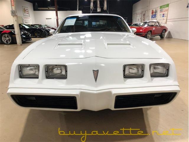 1981 Pontiac Firebird for Sale | ClassicCars.com | CC-1786505