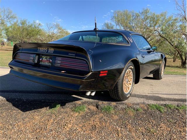 1977 Pontiac Firebird Trans Am for Sale | ClassicCars.com | CC-1787479