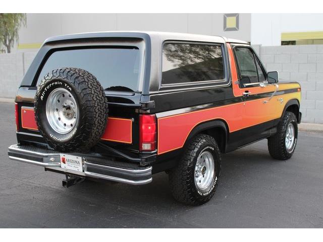 1981 Ford Bronco for Sale | ClassicCars.com | CC-1788238