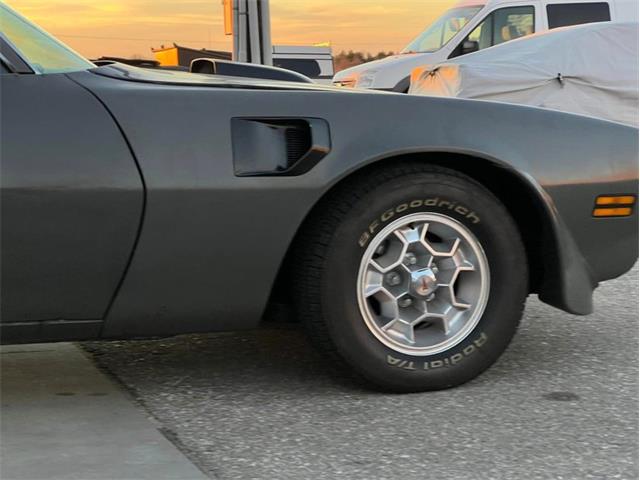 1973 Pontiac Firebird Trans Am for Sale | ClassicCars.com | CC-1794220