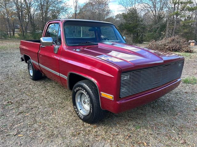 1981 Chevrolet C/K 10 for Sale | ClassicCars.com | CC-1795676