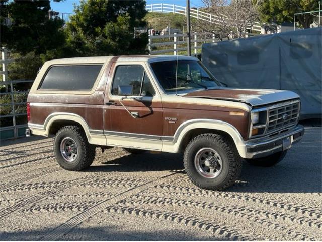 1982 Ford Bronco for Sale | ClassicCars.com | CC-1799178