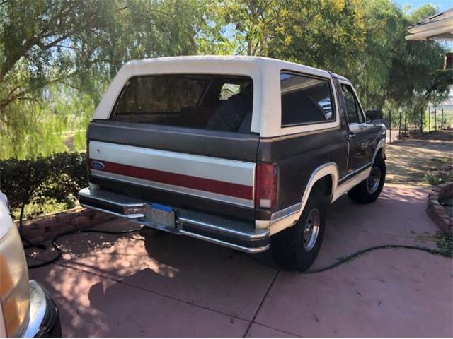 1982 Ford Bronco for Sale | ClassicCars.com | CC-1799178