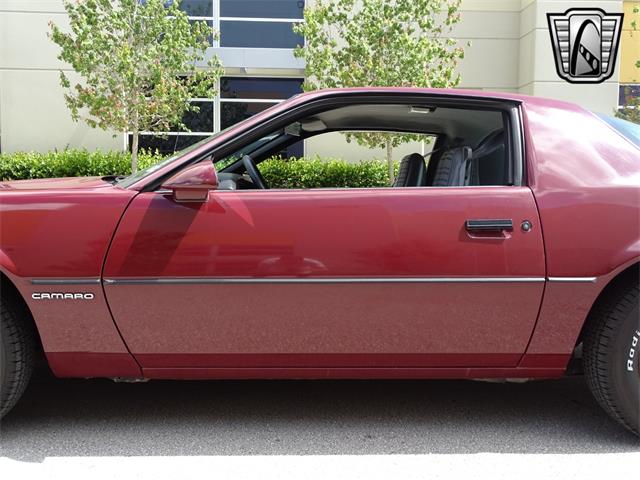 1985 Chevrolet Camaro for Sale | ClassicCars.com | CC-1799832