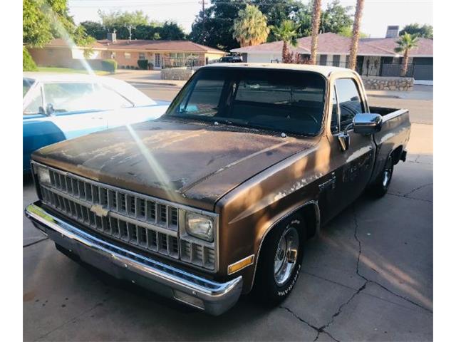 1981 Chevrolet C10 for Sale | ClassicCars.com | CC-1801084