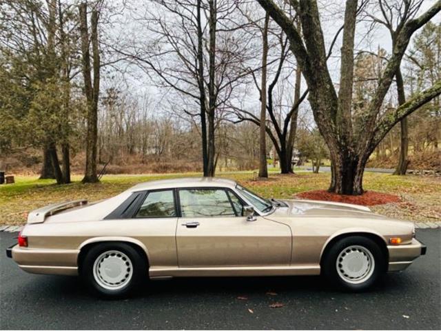 1991 Jaguar XJS for Sale | ClassicCars.com | CC-1819150