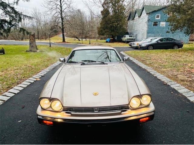 1991 Jaguar XJS for Sale | ClassicCars.com | CC-1819150