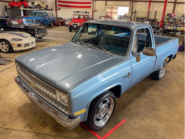 1981 Chevrolet C10 for Sale | ClassicCars.com | CC-1821810