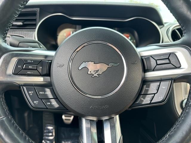 2019 Ford Mustang for Sale | ClassicCars.com | CC-1821888