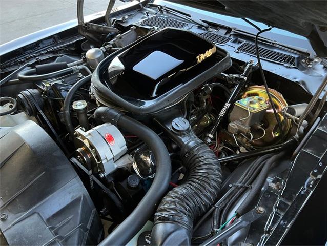 1977 Pontiac Firebird Trans Am for Sale | ClassicCars.com | CC-1834656
