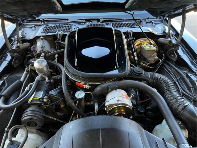 1977 Pontiac Firebird Trans Am for Sale | ClassicCars.com | CC-1834656