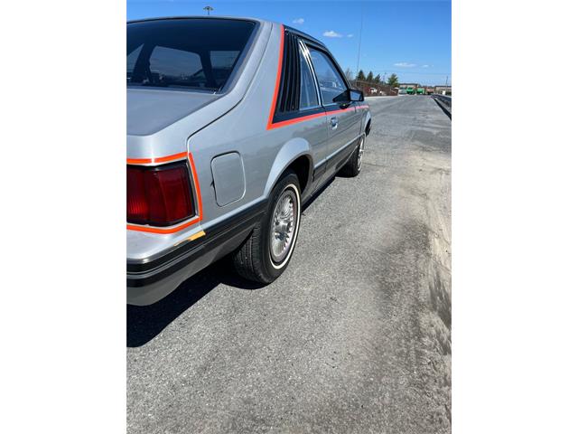 1980 Ford Mustang for Sale | ClassicCars.com | CC-1835401