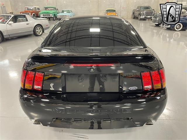 1999 Ford Mustang Svt Cobra For Sale Cc 1838417