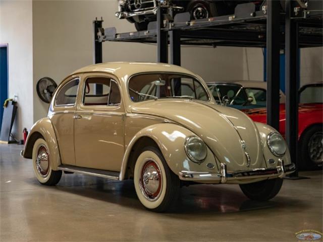 1953 Volkswagen Beetle for Sale | ClassicCars.com | CC-1845135