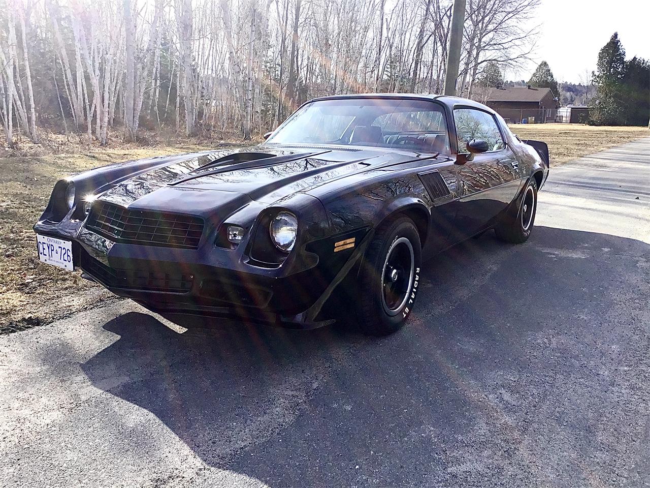 1978 Chevrolet Camaro Z28 for Sale | ClassicCars.com | CC-1845665