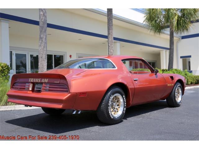 1976 Pontiac Firebird Trans Am for Sale | ClassicCars.com | CC-1846560