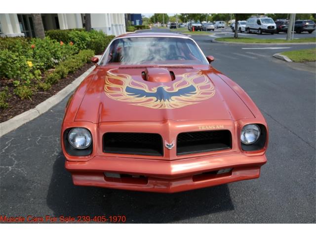 1976 Pontiac Firebird Trans Am for Sale | ClassicCars.com | CC-1846560