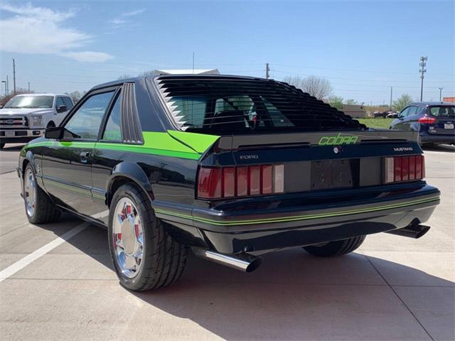 1981 Ford Mustang for Sale | ClassicCars.com | CC-1846604