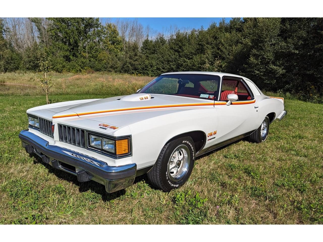1977 Pontiac Can Am for Sale | ClassicCars.com | CC-1850535