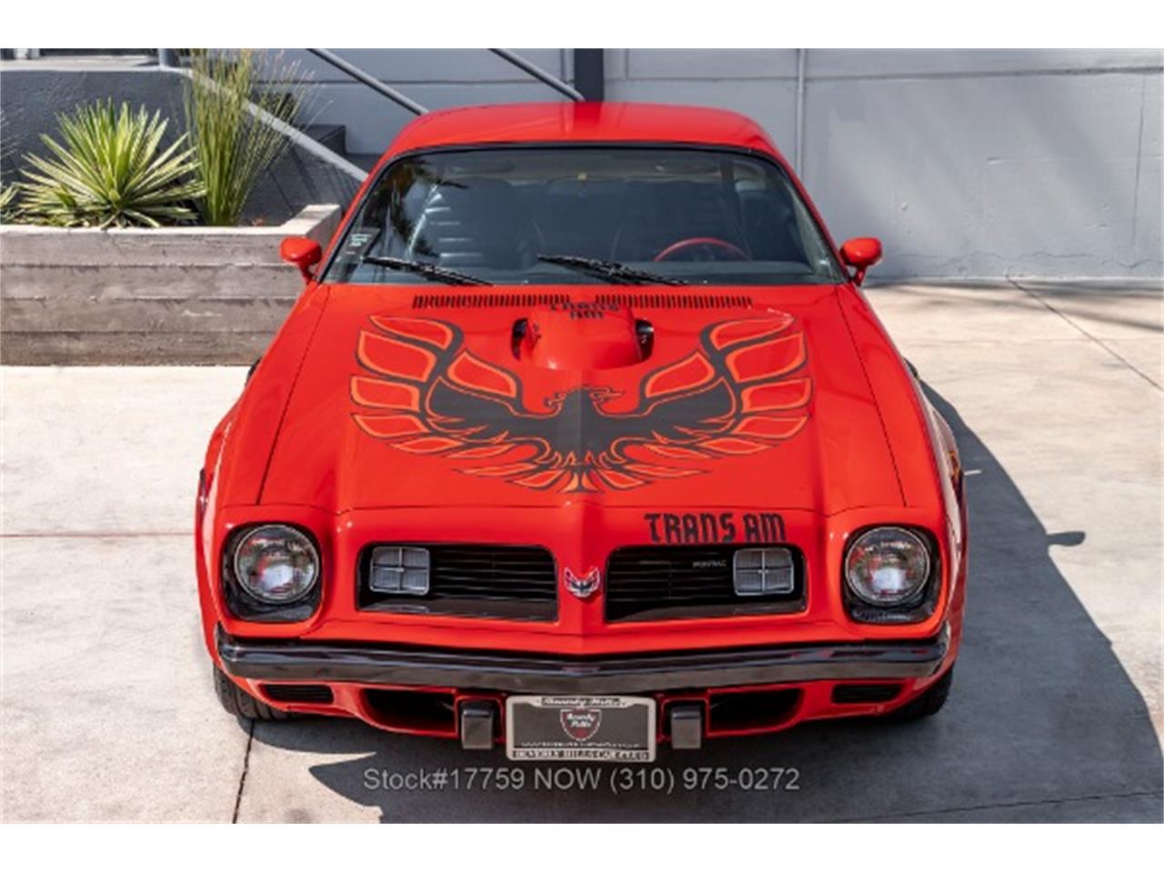 1975 Pontiac Firebird Trans Am for Sale | ClassicCars.com | CC-1863731