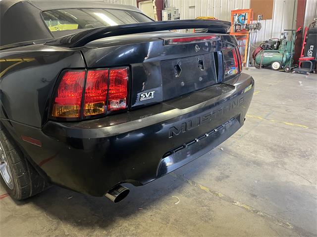1999 Ford Mustang SVT Cobra for Sale | ClassicCars.com | CC-1873354