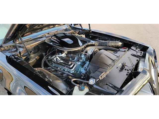 1976 Pontiac Firebird Trans Am for Sale | ClassicCars.com | CC-1886228