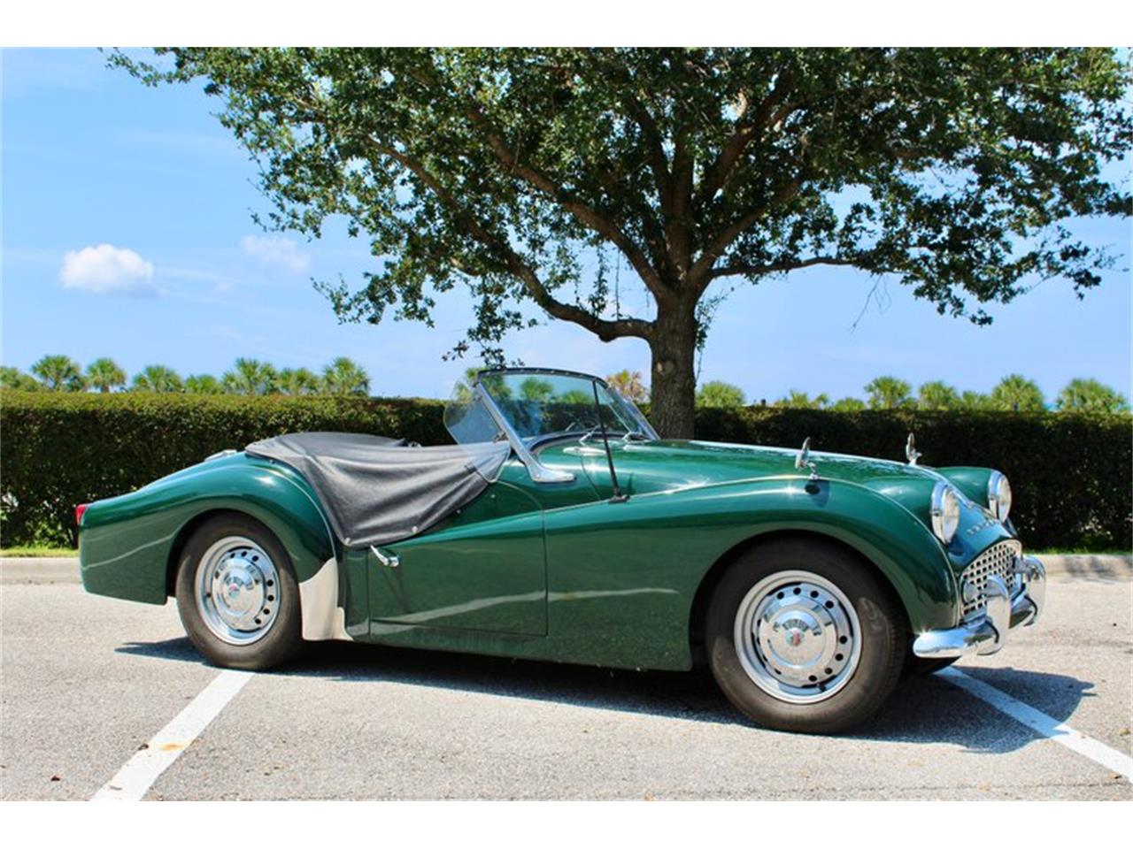 Extraordinary 1959 Triumph Tr3a For Sale Gallery