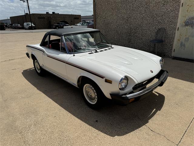 1976 Fiat Spider for Sale | ClassicCars.com | CC-1895822