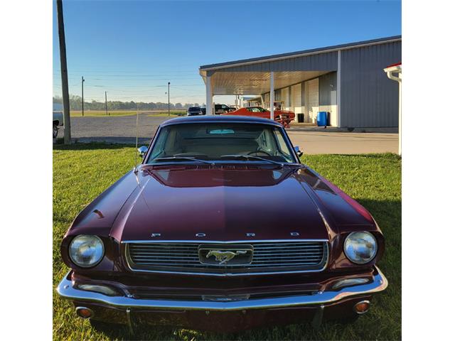 1966 Ford Mustang for Sale | ClassicCars.com | CC-1898139