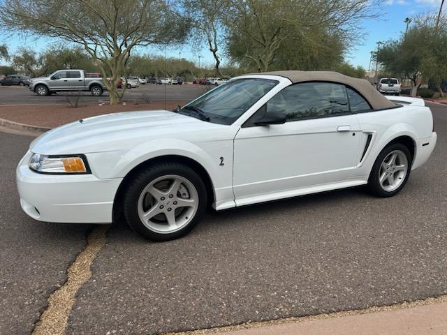 Terrific Mustang Cobra For Sale Arizona Pictures
