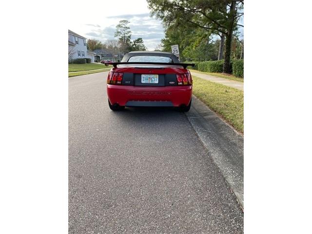 1999 Ford Mustang Cobra for Sale | ClassicCars.com | CC-1918592