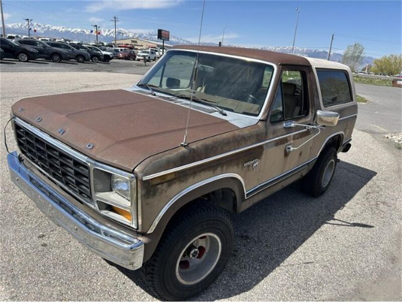 1981 Ford Bronco for Sale | ClassicCars.com | CC-1950004