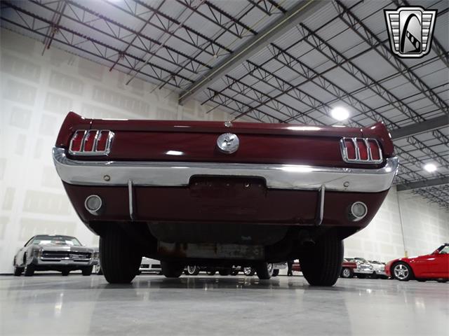 1966 Ford Mustang for Sale | ClassicCars.com | CC-1957362