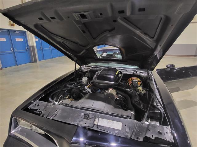 1978 Pontiac Firebird Trans Am for Sale | ClassicCars.com | CC-1976104