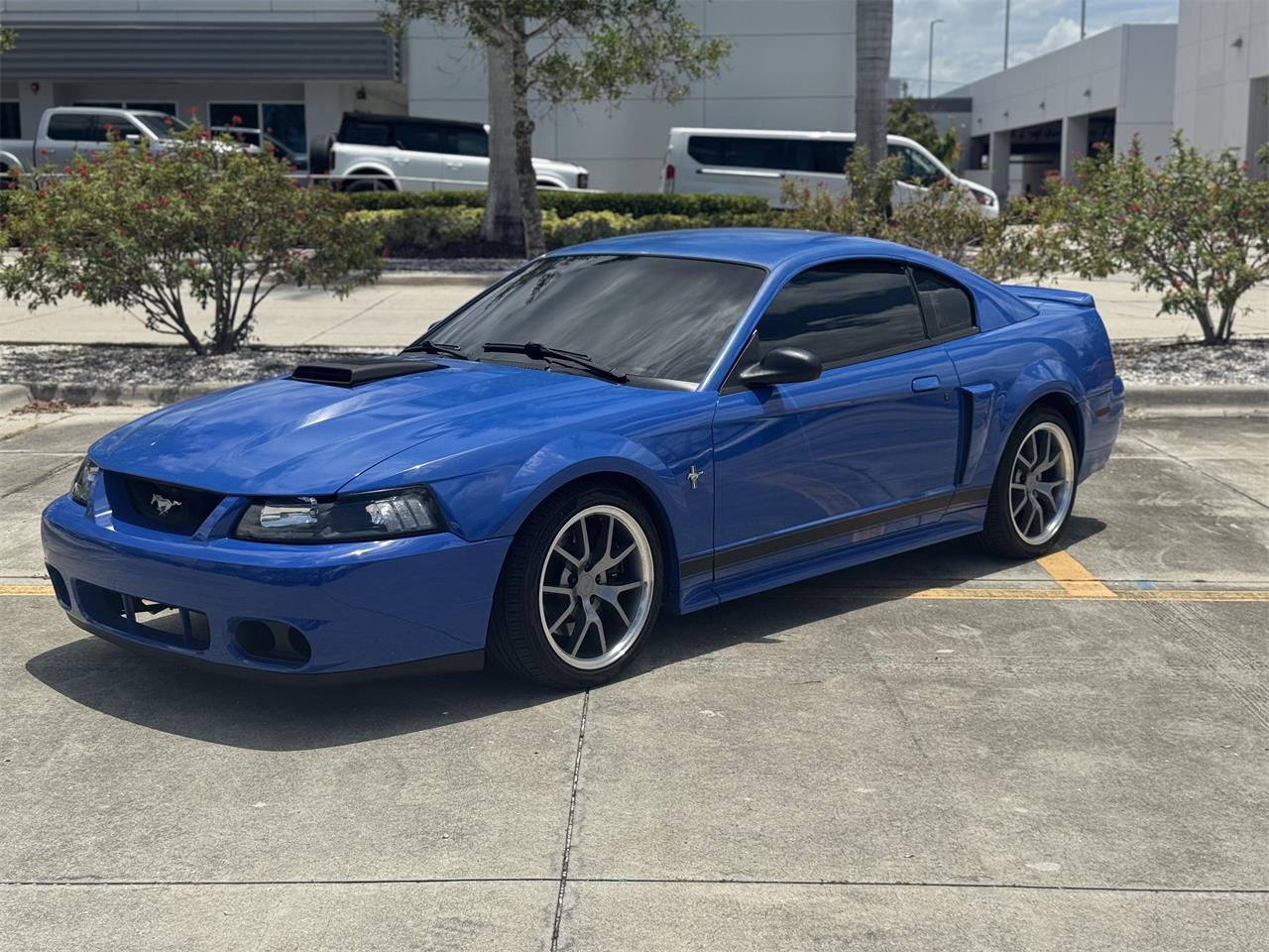 2003 Ford Mustang Mach 1 for Sale | ClassicCars.com | CC-1977899