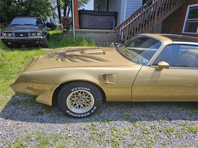 1979 Pontiac Firebird Trans Am for Sale | ClassicCars.com | CC-1978239