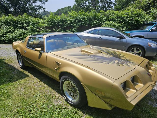 1979 Pontiac Firebird Trans Am for Sale | ClassicCars.com | CC-1978239