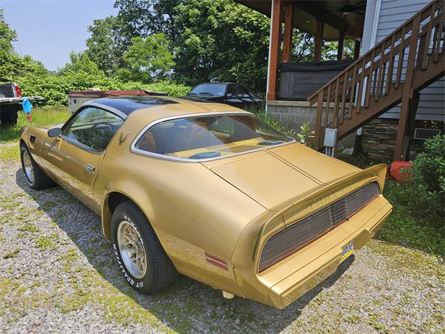 1979 Pontiac Firebird Trans Am for Sale | ClassicCars.com | CC-1978239