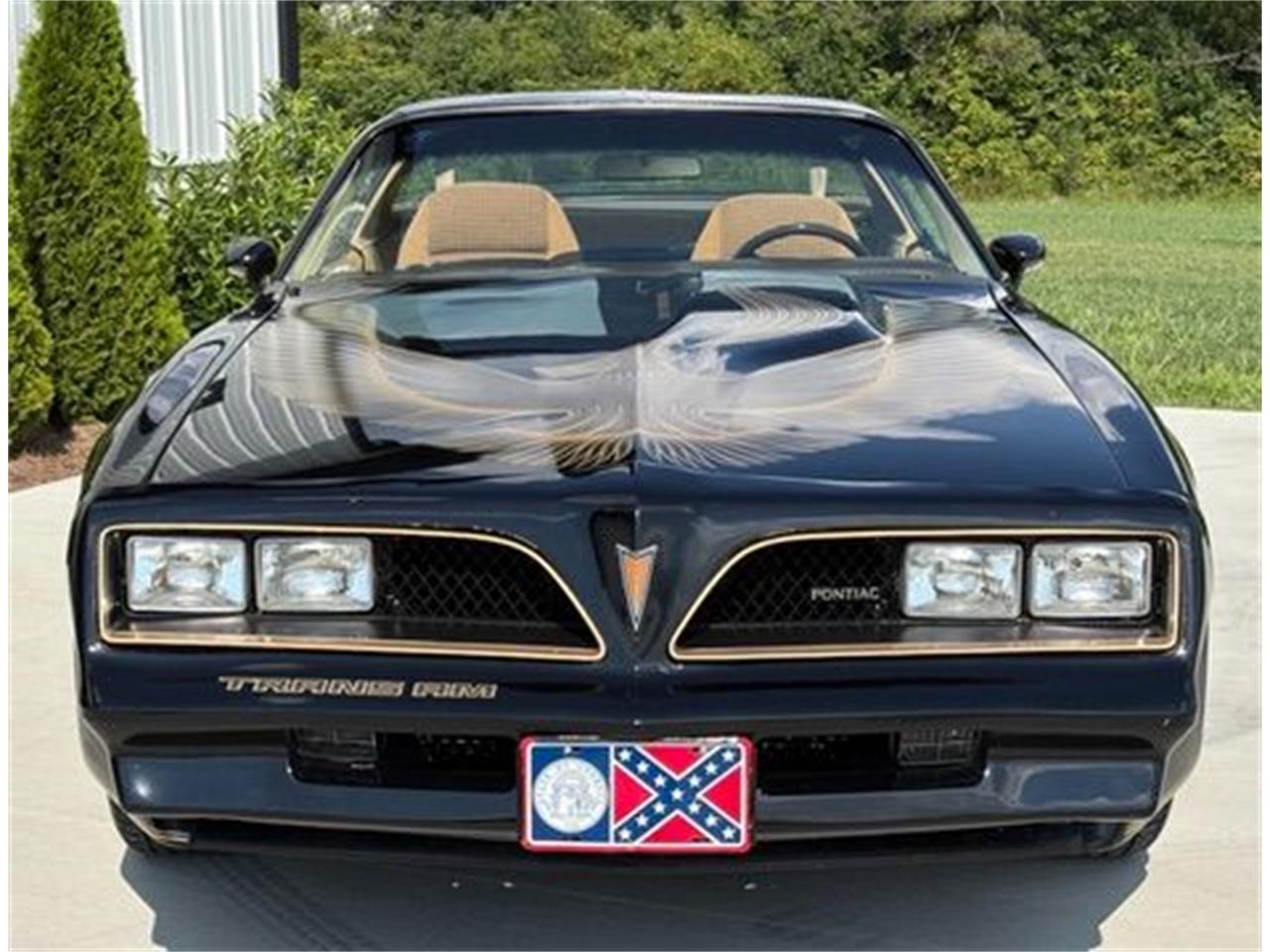 1981 Pontiac Firebird for Sale | ClassicCars.com | CC-1983914