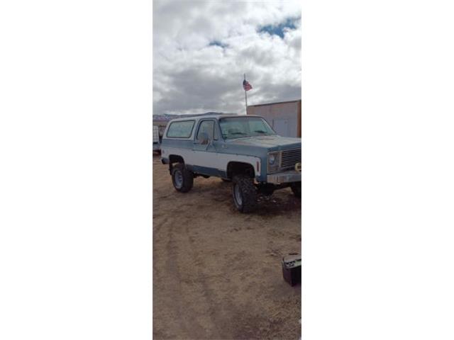 1979 Chevrolet Blazer for Sale | ClassicCars.com | CC-1990153