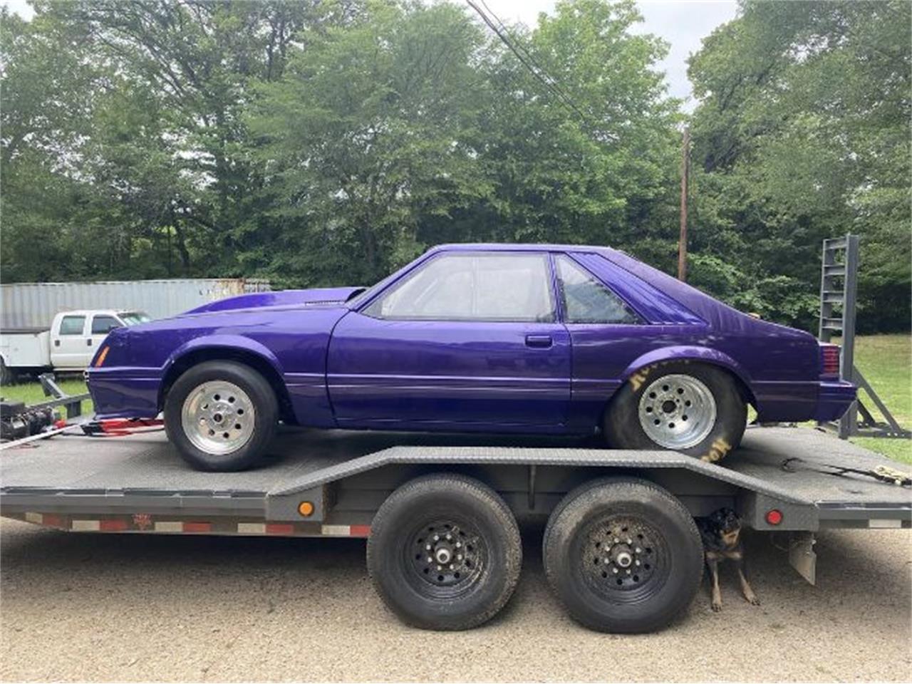 1982 Ford Mustang for Sale | ClassicCars.com | CC-1994039
