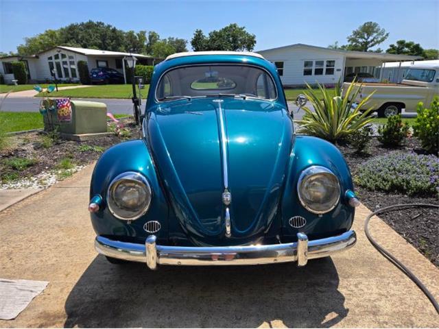 1955 Volkswagen Beetle for Sale | ClassicCars.com | CC-1995391