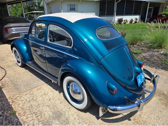 1955 Volkswagen Beetle for Sale | ClassicCars.com | CC-1995391