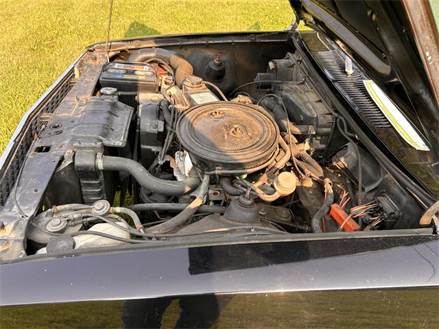 1981 Chevrolet Chevette for Sale | ClassicCars.com | CC-1997014