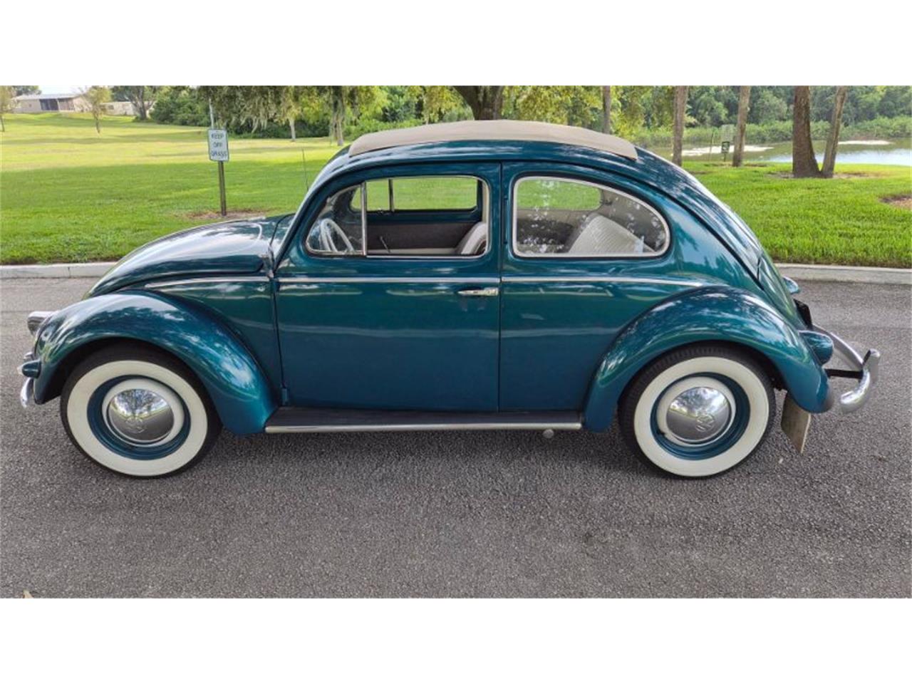 1955 Volkswagen Beetle for Sale | ClassicCars.com | CC-2001579