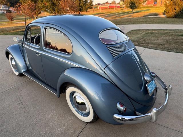 1954 Volkswagen Beetle for Sale | ClassicCars.com | CC-2003711
