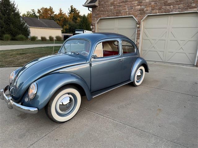 1954 Volkswagen Beetle for Sale | ClassicCars.com | CC-2003711